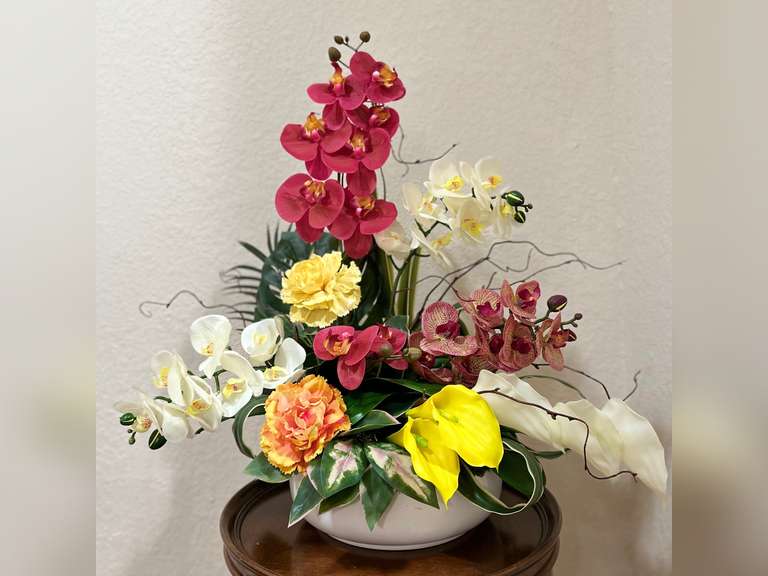 Victoria Veronica Moreno Cypress Falls FFA Tropical Permanent ...