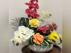 Victoria Veronica Moreno Cypress Falls FFA Tropical Permanent ...