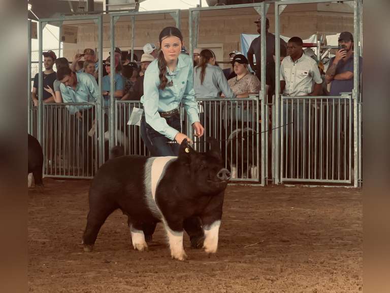 Kenadee DeDear West Hardin FFA - StockShowAuctions.com