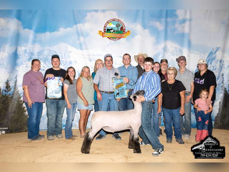 Cole Spurlock Grand Drive 4H - StockShowAuctions.com