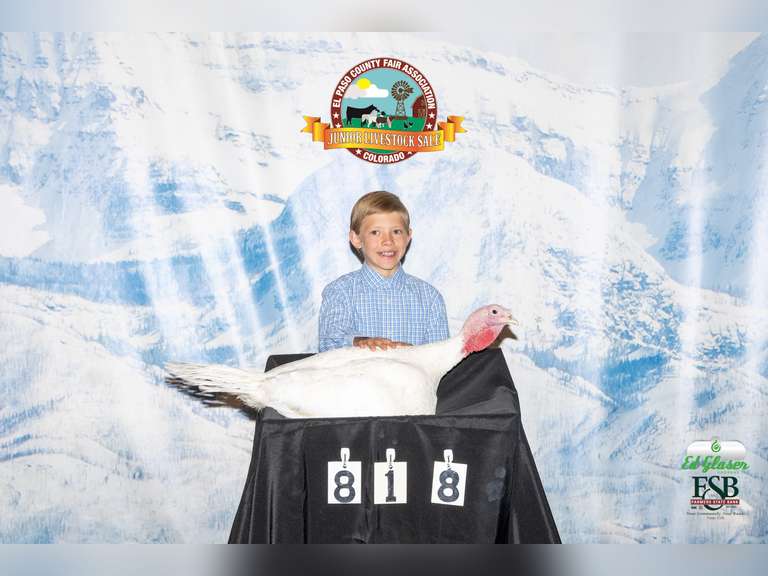 Garrett Long Pals of the Pines - StockShowAuctions.com