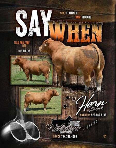 TAG SAY WHEN SEMEN - SteerBidder