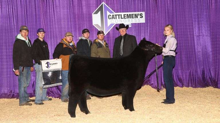 STYLE X WHO DA MAN EMBRYOS - SteerBidder