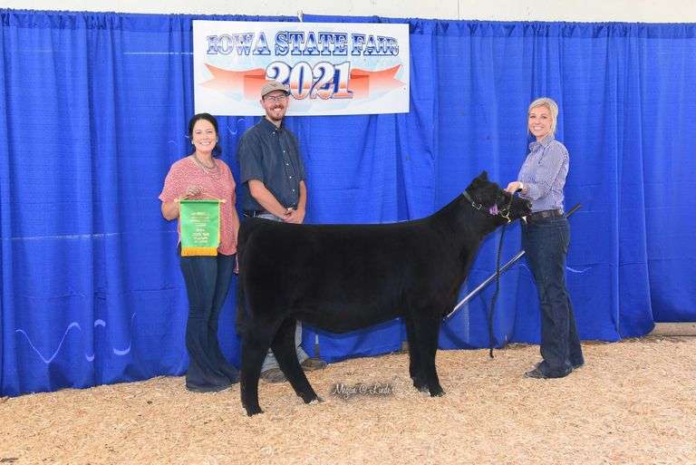 MG 111 X WID EMBRYOS - SteerBidder