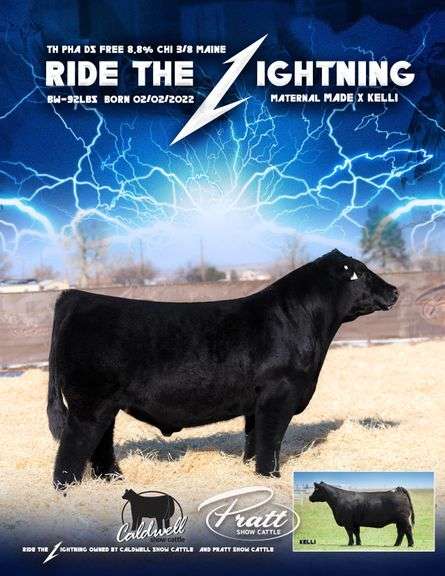 RIDE THE LIGHTNING SEMEN - SteerBidder