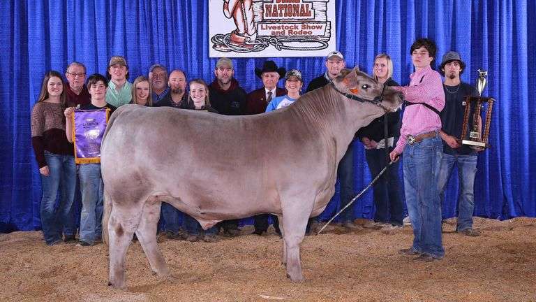 POLAR BEAR X GETCHA SOME EMBRYOS - SteerBidder