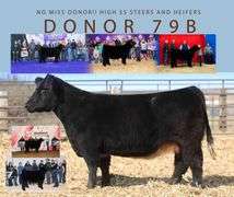 TSS TAG 79B-H STEER - SteerBidder