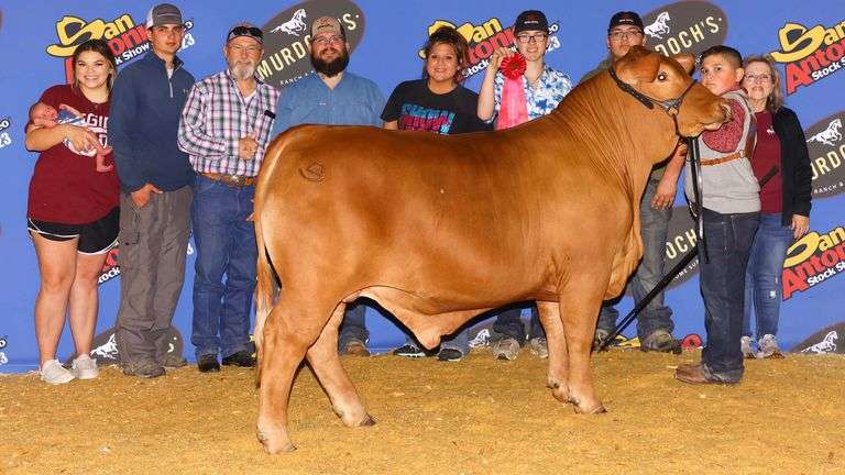 5 UNITS OF LIL BIG DAWG SEMEN - SteerBidder
