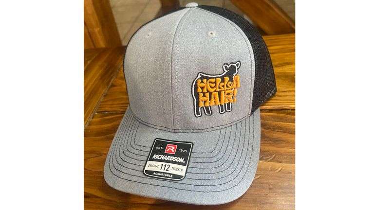 HELLA HAIR HAT A - SteerBidder