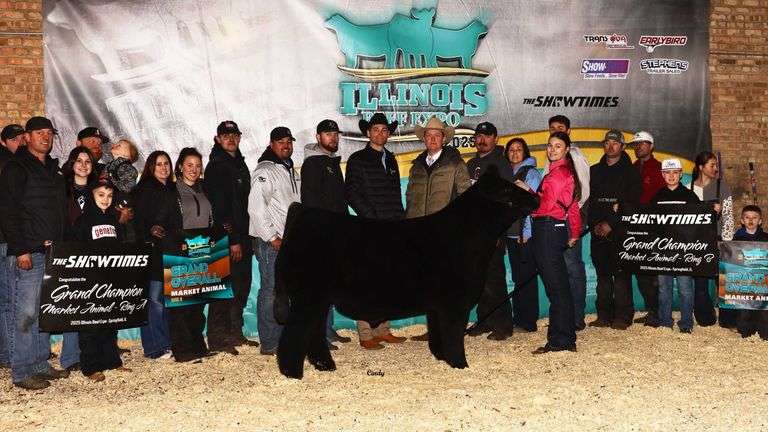 MARK BALL EMBRYO A - SteerBidder