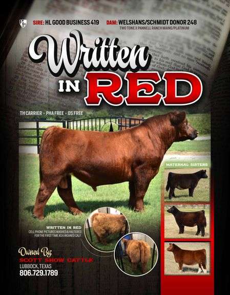 WELSHANS WRITTEN IN RED SEMEN - SteerBidder