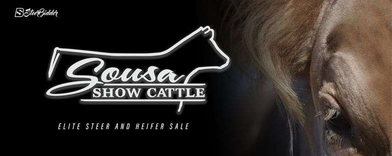 SOUSA SHOW CATTLE - 3/28/26 - SteerBidder