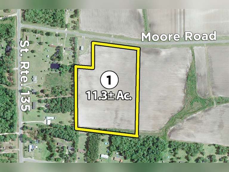 11.3 acres - South Auction