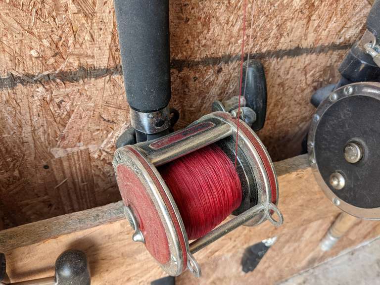 Penn Senator 113H on Penn Senator Special Rod - South Auction