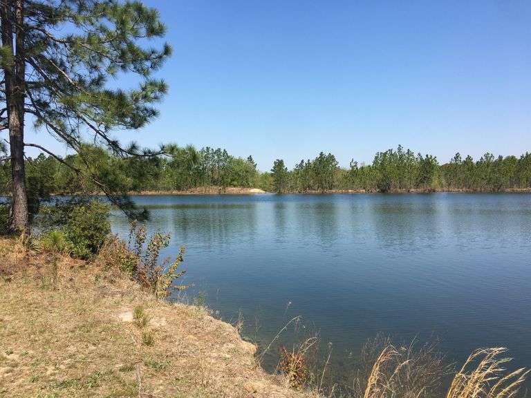 Life Estate Property, Tony Baker Lane, Garfield, GA - South Auction