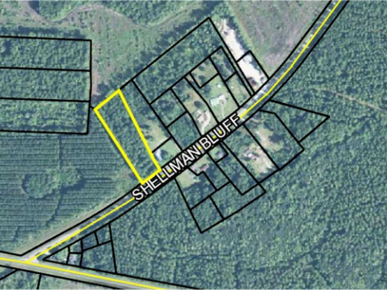 2.32 Acres- Shellman Bluff Road- Townsend, GA - South Auction
