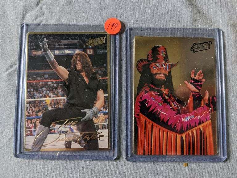 1994 Action Packed WWF Prototype Cards - South Auction
