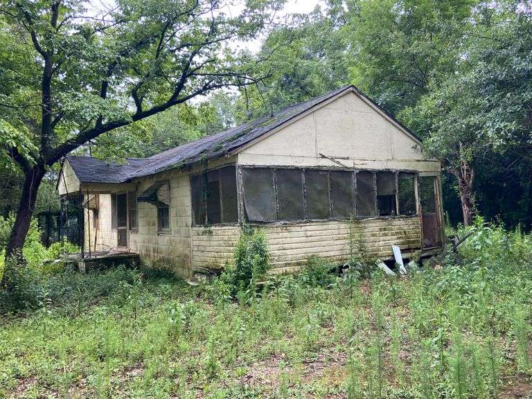 619 Virginia Circle- Montezuma, GA - South Auction