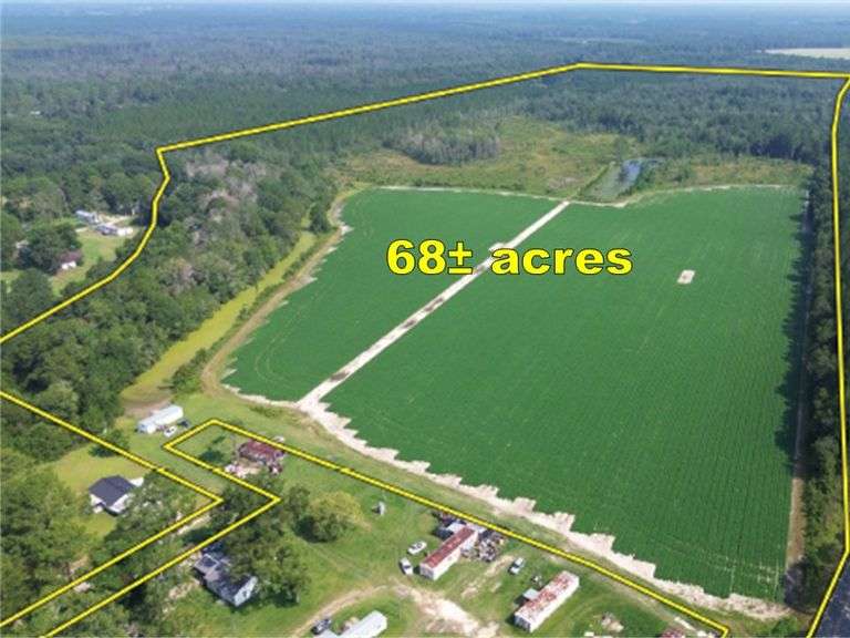 The Giddens Farm: 68 acres, Cook County, GA - South Auction