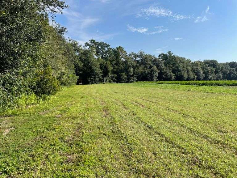 LOT 2 Hunters Corner, 17.5 acres, Brooks County, GA - South Auction