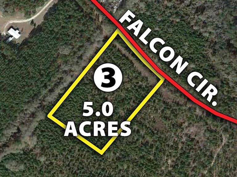 5.0 acres - South Auction