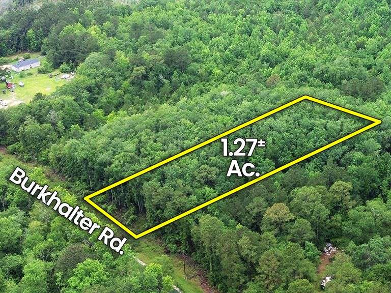 Lot on Burkhalter Road, Statesboro, GA - South Auction