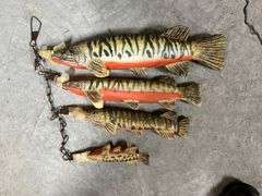 8 Boxes Containing 16 Fish - South Auction