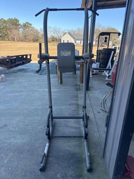 Body Champ Multi-Function Pull-Up and Dip Station - South Auction