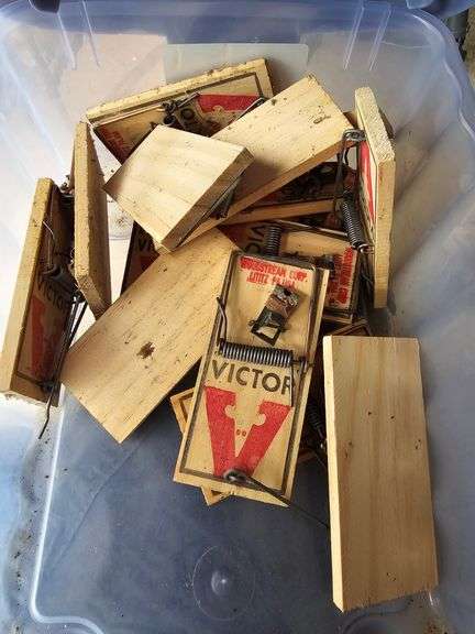 Mouse Traps, Raid Sprays & Rodent Killers - T&S Auction Service