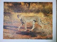 Various Prints ALL by Charles Frace' - T&S Auction Service