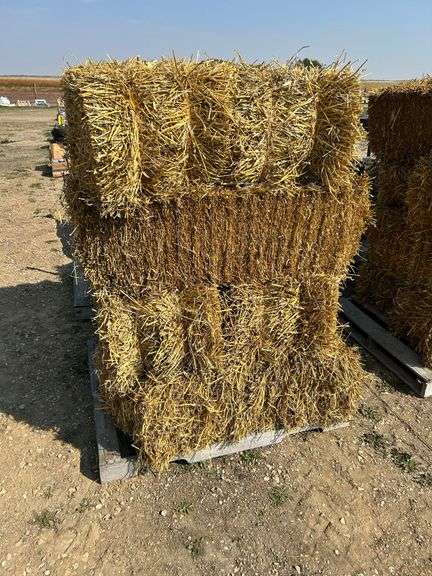 8 Wheat Straw Bales - Taylors Auctioneers Ltd