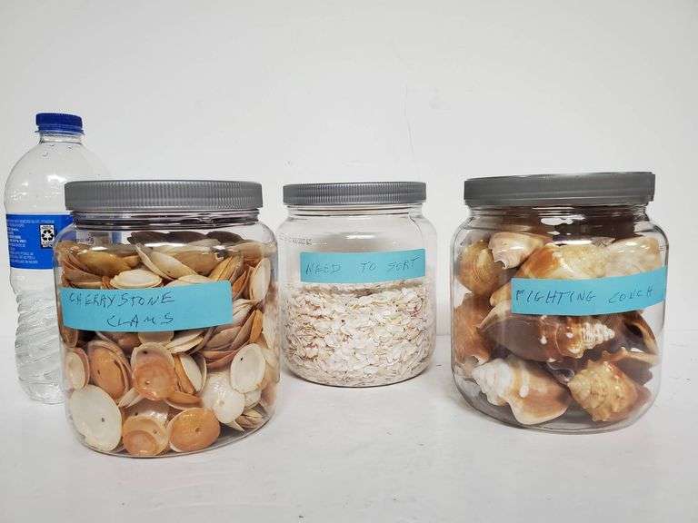 Three Containers With Assorted Sea Shells - Trice Auctions