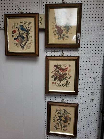 Set of 4 Framed Arthur Singer Bird Illustrations - Trice Auctions