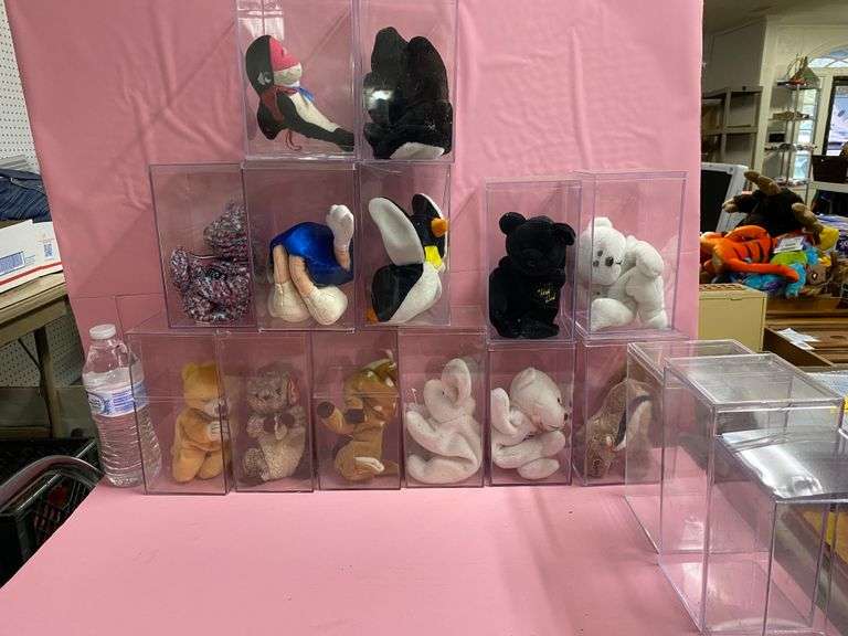TY Beanie Babies in Protective Cases - Trice Auctions