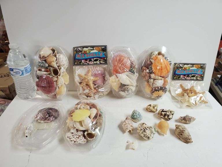 Assorted Decorative Seashells in Plastic Packaging - Trice Auctions