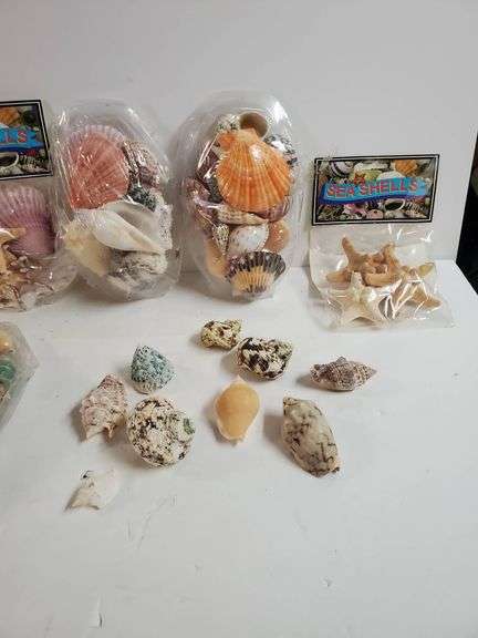 Assorted Decorative Seashells in Plastic Packaging - Trice Auctions