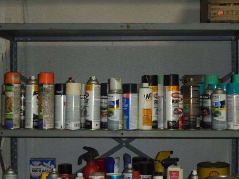 Shelf Lot – Spray Paints and more - Texas Online Auction House