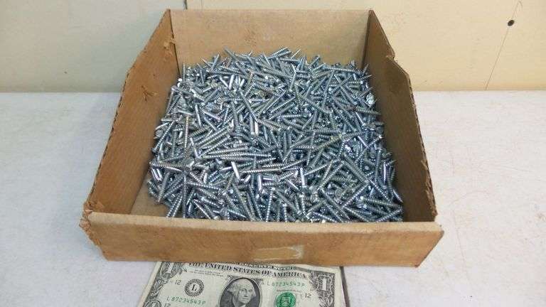 LARGE Box of Screws! (T1) - Texas Online Auction House