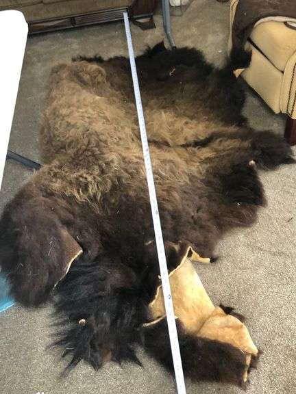 Large Buffalo Hide - United Edge Real Estate & Auction