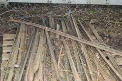 Pallet of T-Posts - Assorted Lengths - Shackelton Auctions Inc.