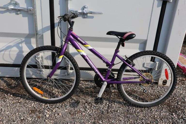 NEXT 12 SPEED BICYCLE - Shackelton Auctions Inc.