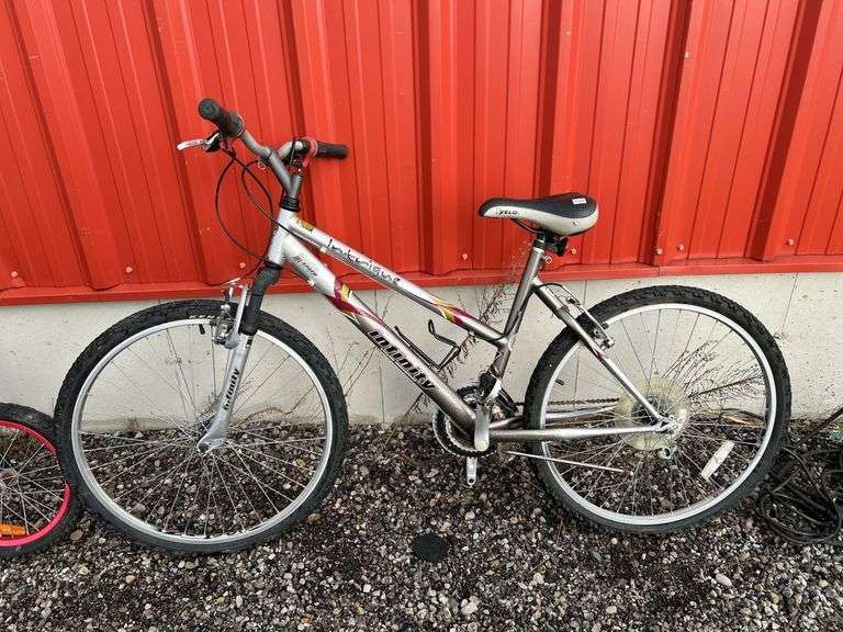 INFINITY 21 SPEED BICYCLE - Shackelton Auctions Inc.