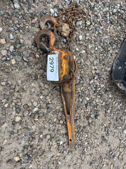 CHAIN FALL - Shackelton Auctions Inc.