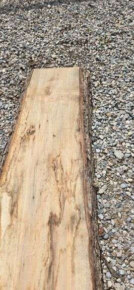 1 PIECE LIVE EDGE MAPLE - Shackelton Auctions Inc.