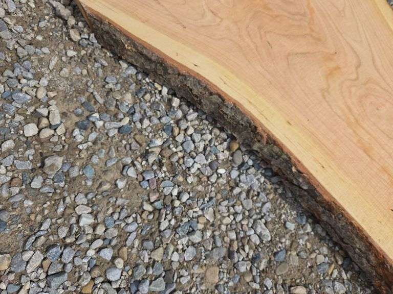 1 PIECE LIVE EDGE CHERRY - Shackelton Auctions Inc.