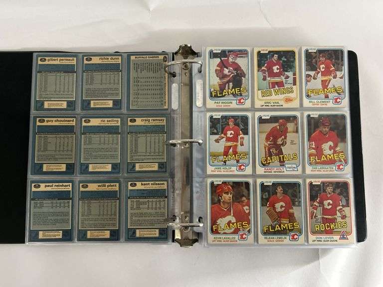 COMPLETE SET OF 1981 OPC HOCKEY CARDS - Shackelton Auctions Inc.