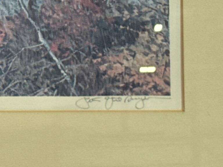 FRAMED, SIGNED & NUMBERED PETER SNYDER PRINT - 23" X 21" - Shackelton ...