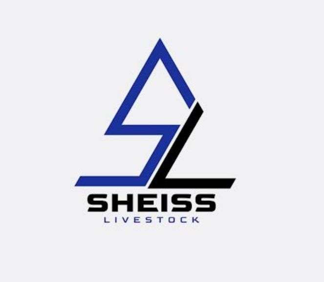 SHEISS LIVESTOCK RUNAWAY - The Wendt Group Inc.