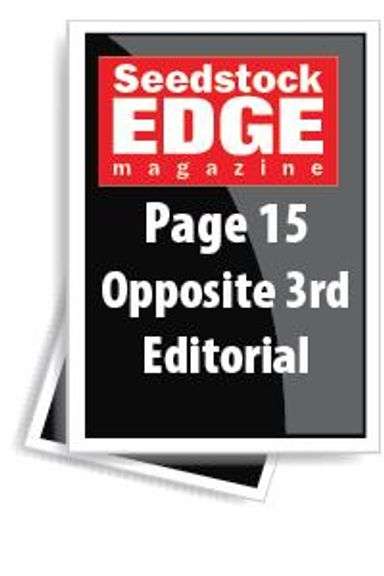 Opposite 3rd Editorial (right page) - The Wendt Group Inc.