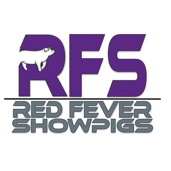Red Fever Show Pigs - The Wendt Group Inc.